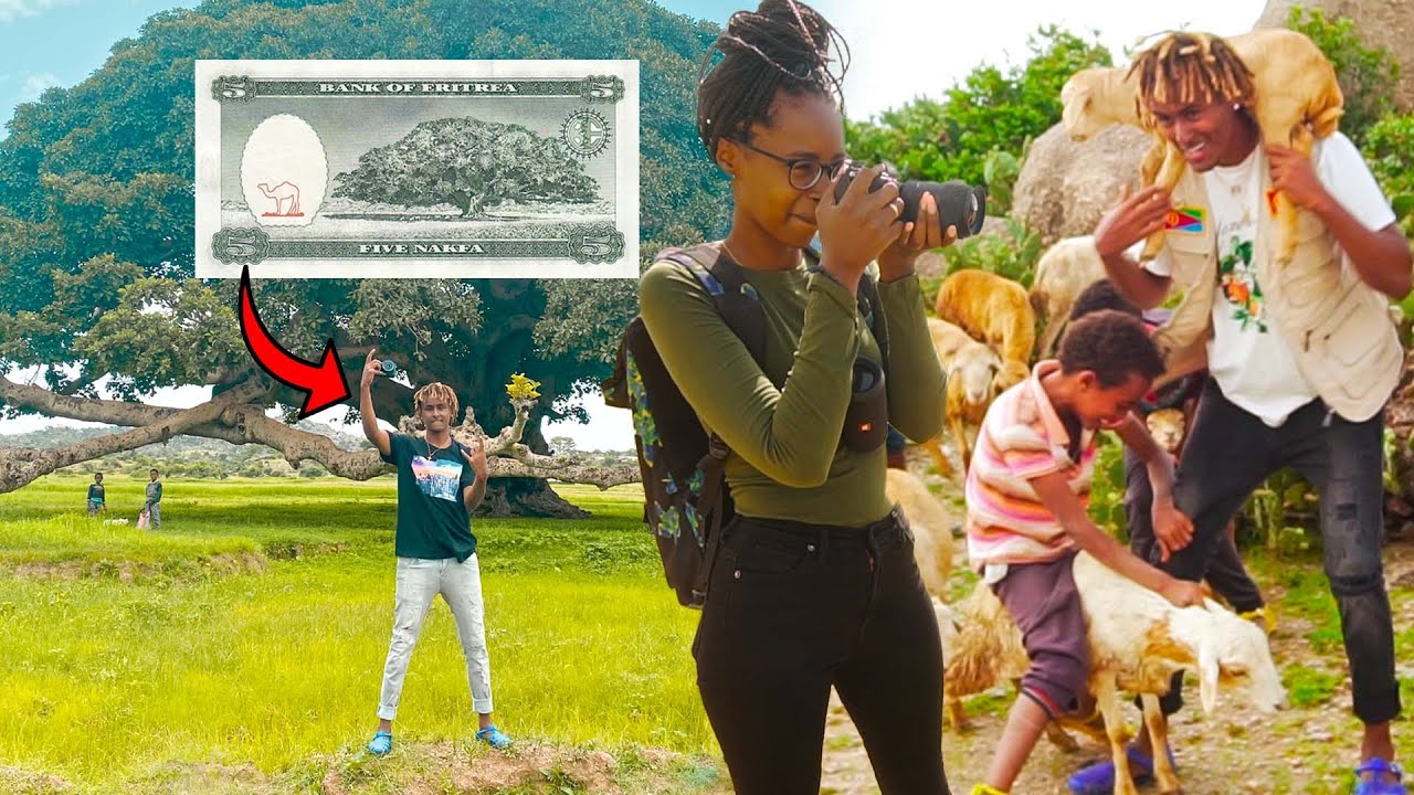 VISITING ICONIC SEGENEYTI NAKFA TREE / SHOOTING MY MUSIC VIDEO ...