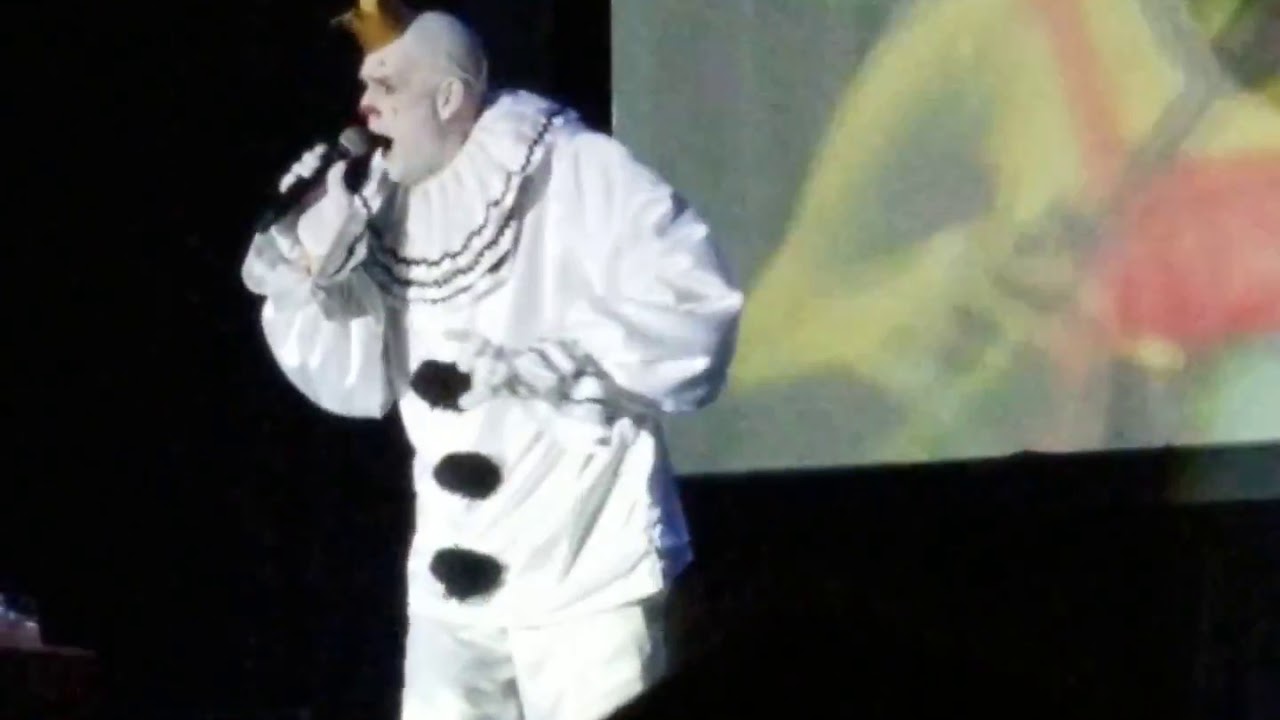 Puddle's Pity Party - Where is my mind - YouTube