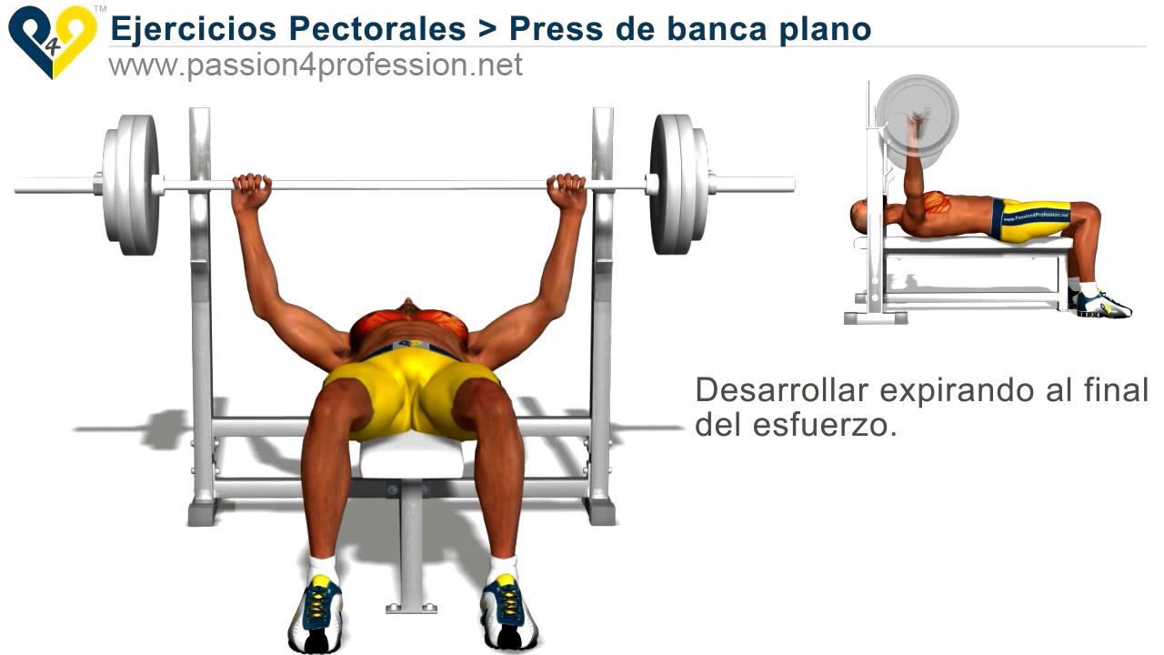 Tecnica press de banca plano/ pecho plano - YouTube