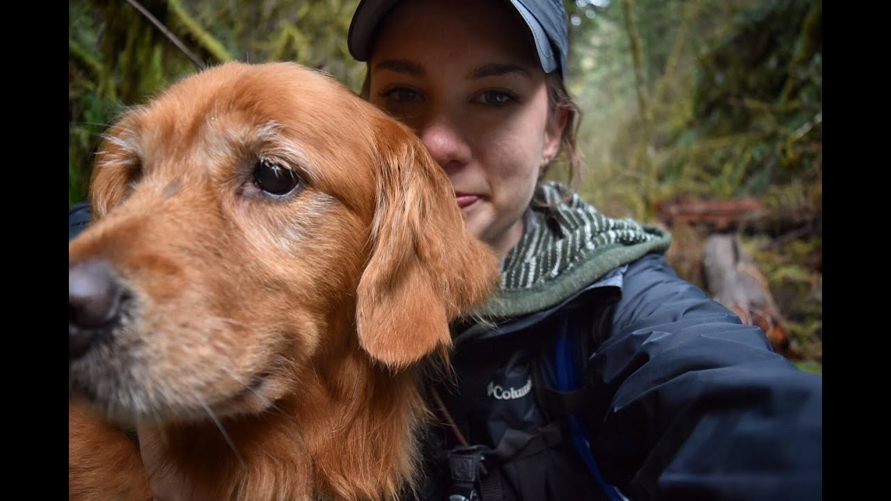 Parker James - YouTube