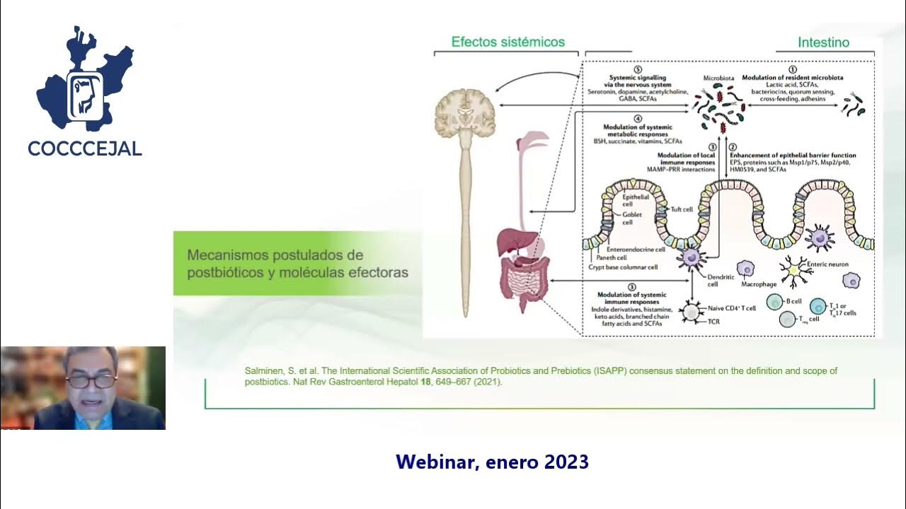 Los Probióticos: Presente y Futuro de la Otorrinolaringología - Dr. Carlos de la Torre Gonzalez ...