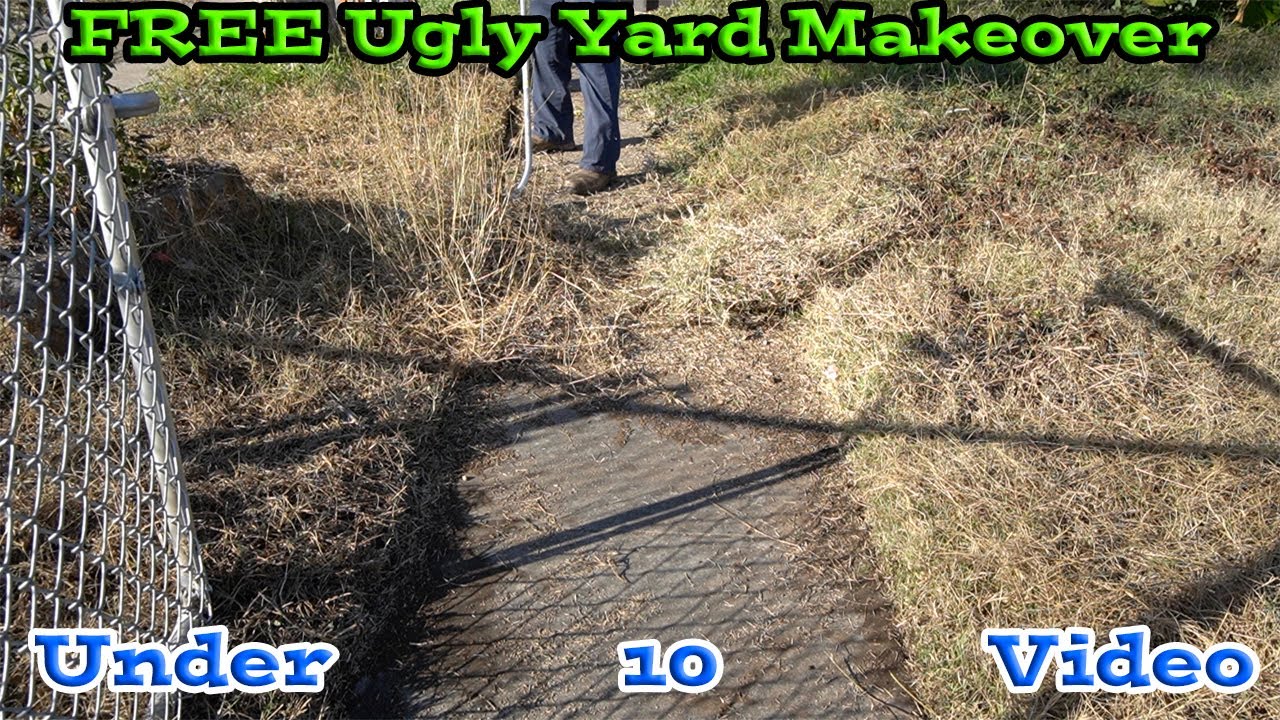 Under 10 Minutes Video | Free Lawn Makeover for this Ugly Yard | No Mow ...