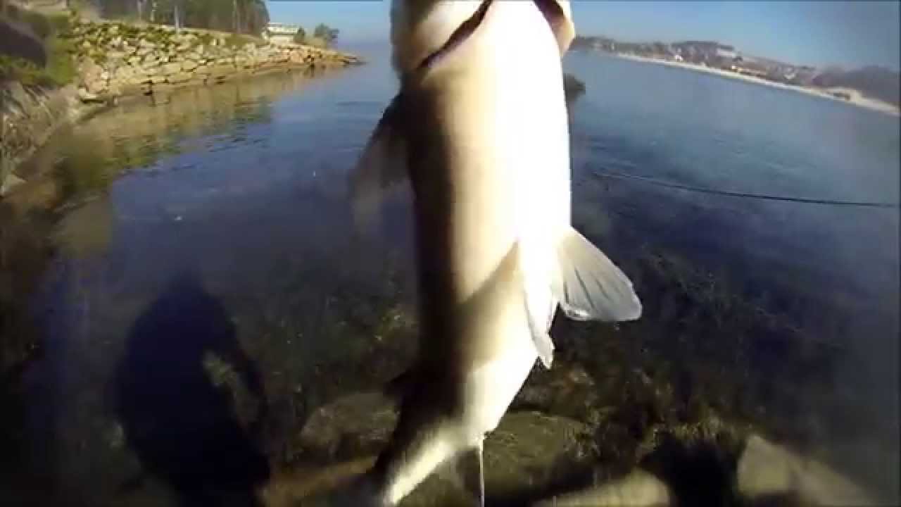 Pesca de la Lisa. Parte3 - YouTube