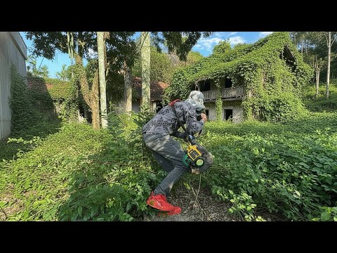 Garden restoration is essential for a home overgrown with weeds, which can be very satisfying