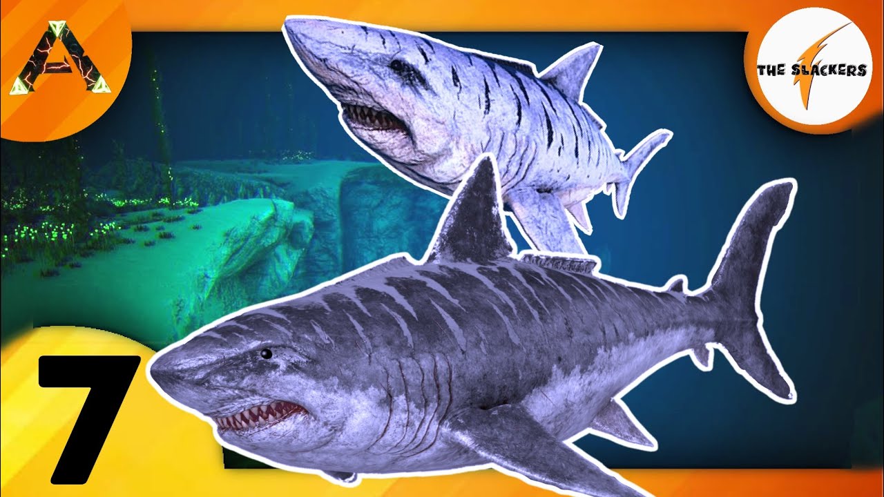 WE GOT SHARK PETS!! (ARK Duo PvP EP 7) -The Slackers - YouTube