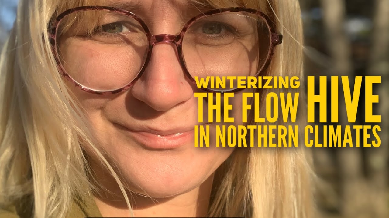 Winterizing a Challenging Flow Hive in Northern Climates | Beekeeping ...
