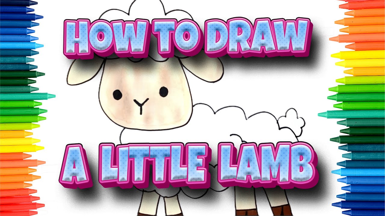 How to Draw a Little Lamb | Easy Steps for Beginners | Sevimli Kuzu ...