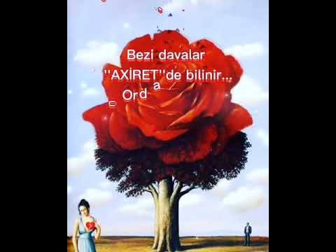 WhatsApp üçün yeni video və mahnı 2021 mp3 ‎@Novruz Heziyev