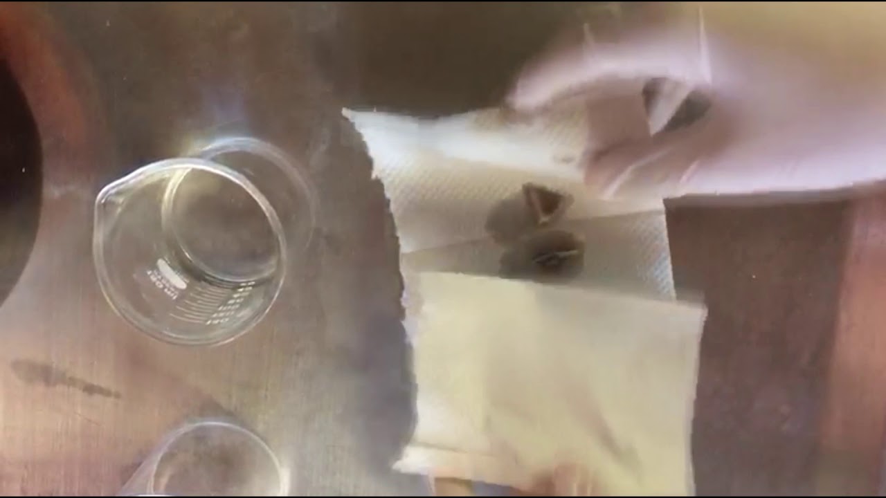 DESHIDRATACIÓN Y ACLARAMIENTO (PROCESO HISTOLOGICO) - YouTube