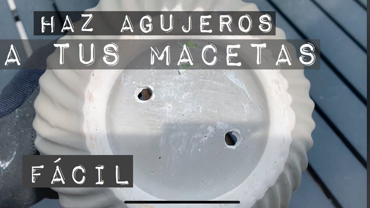 Como Agujero Las Macetas Manualmente Cactus Y Suculentas 🌵 Youtube