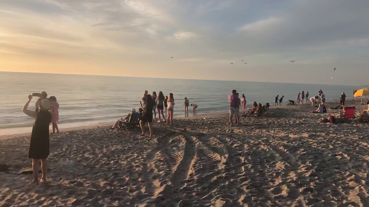 February 19, 2020 - YouTube