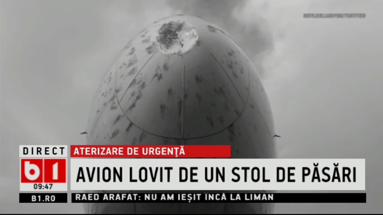 AVION LOVIT DE UN STOL DE PASARI_Stiri b1_4 ianuarie 2021 - YouTube
