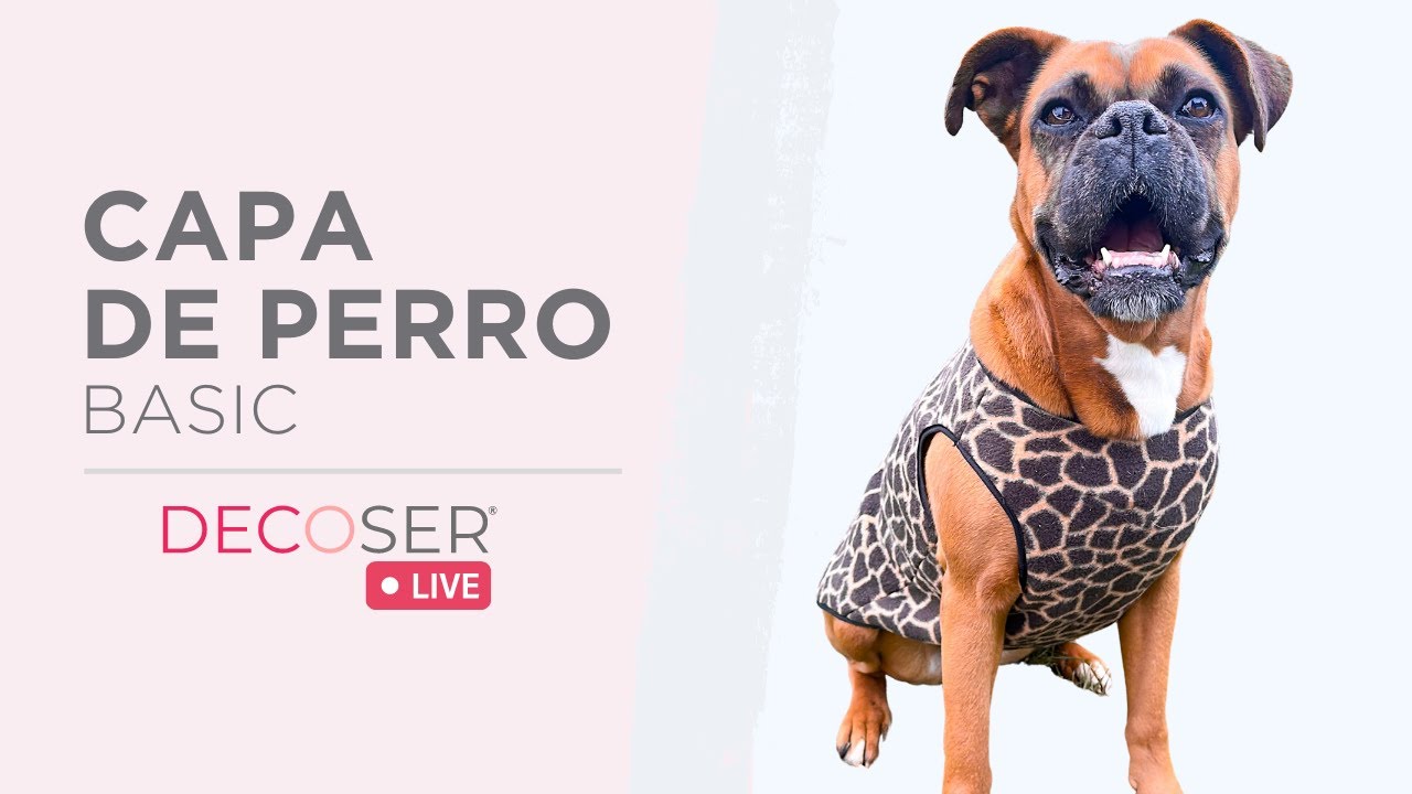 🔴LIVE | Tutorial Capa de Perro Basic - YouTube