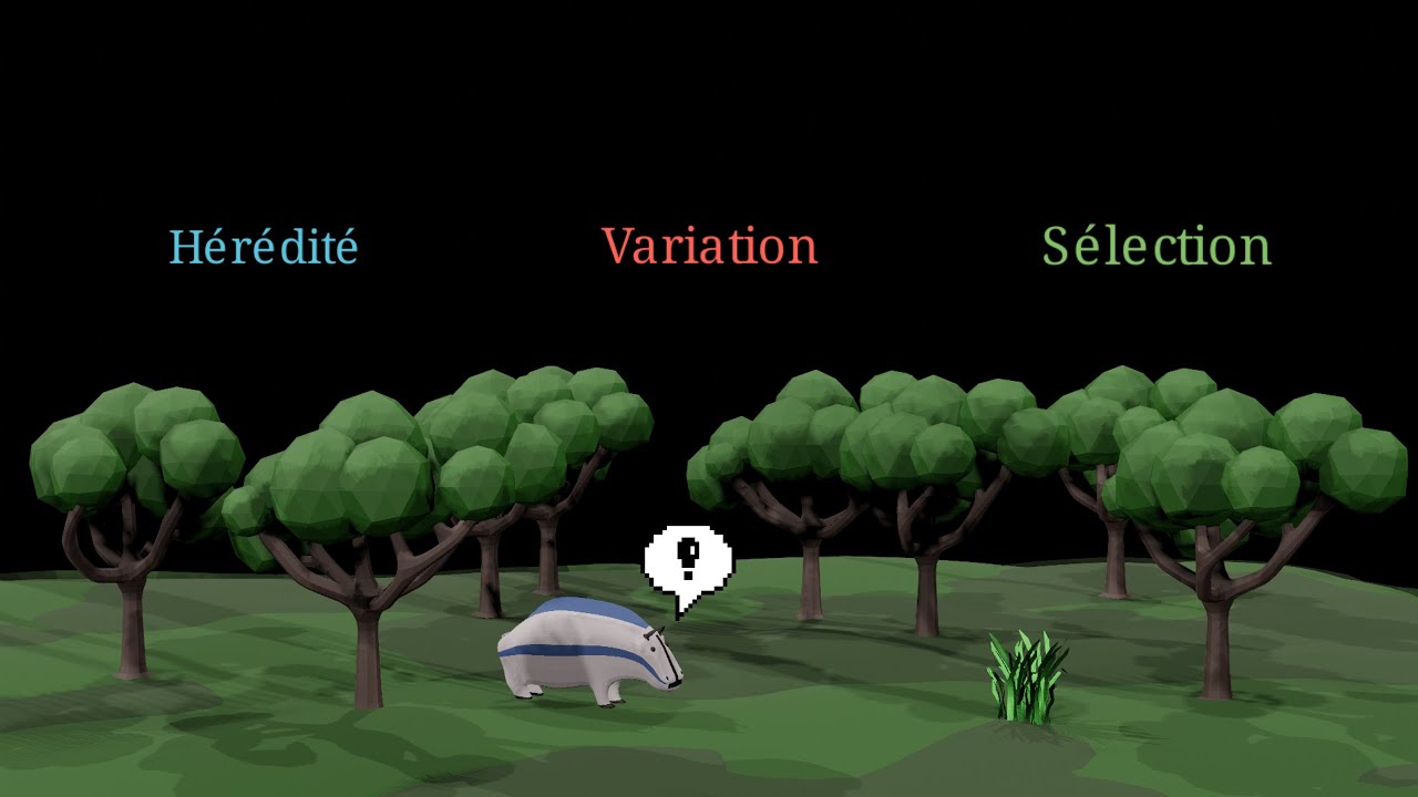 Introduction à l'évolution par sélection naturelle : la sélection n'est ...