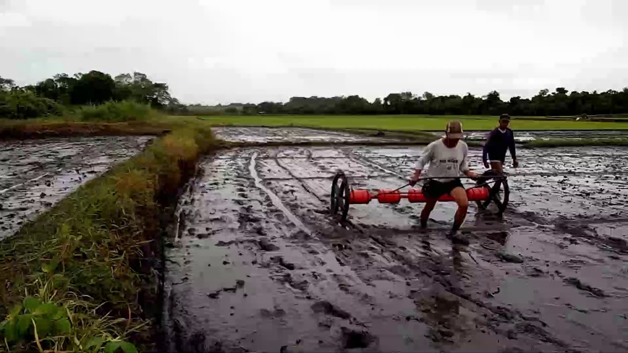 Sabog Tanim gamit ang Drum Seeder. - YouTube