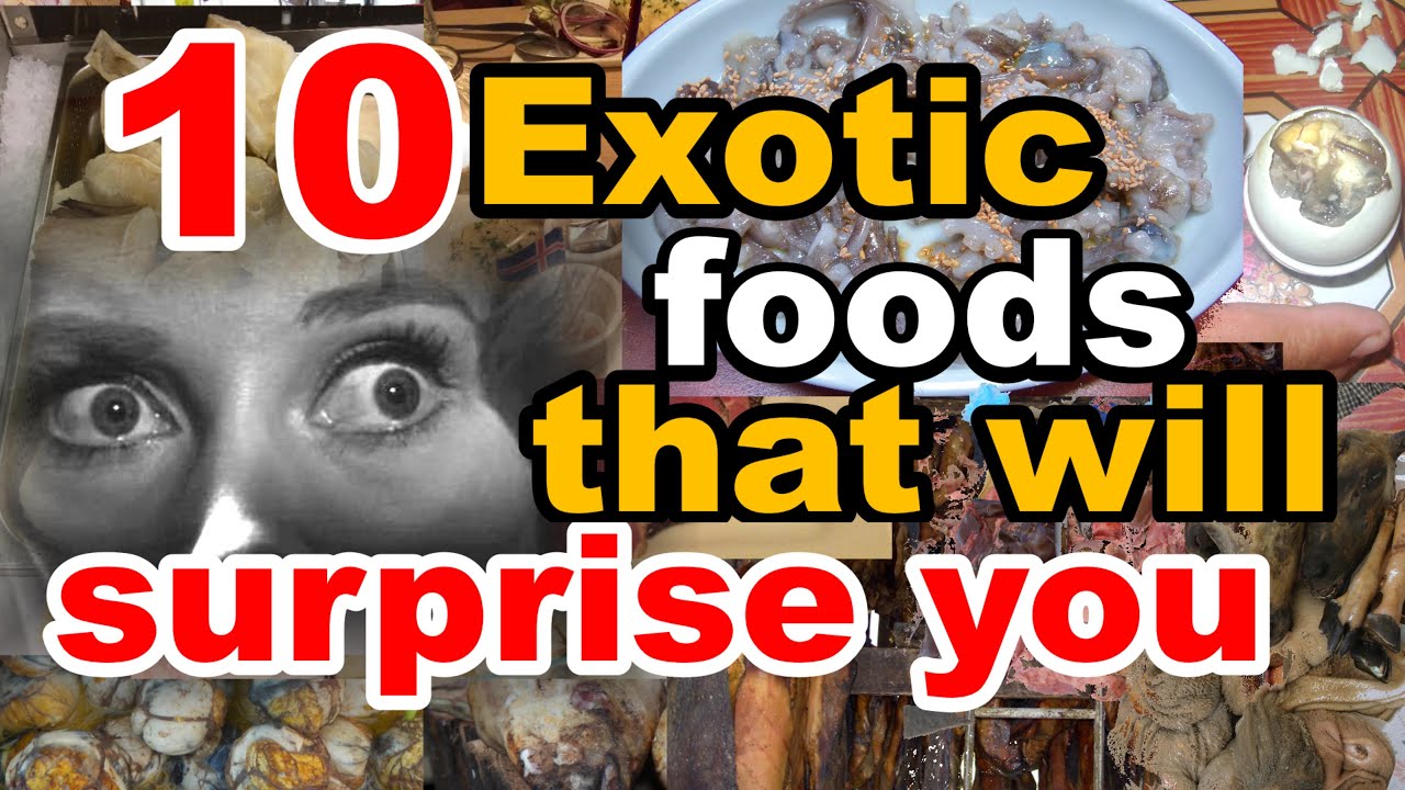 WOULD YOU DARE TO EAT ANY OF THESE 10 EXOTIC FOODS? - YouTube