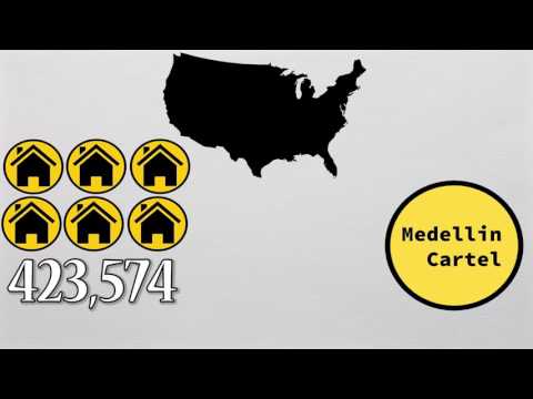 The Absurd True Scale of Pablo Escobar's Wealth Visualized - YouTube