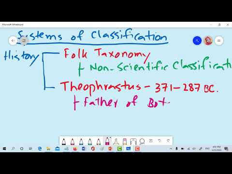 BRIEF HISTORY OF SYSTEMATICS PART-I - YouTube