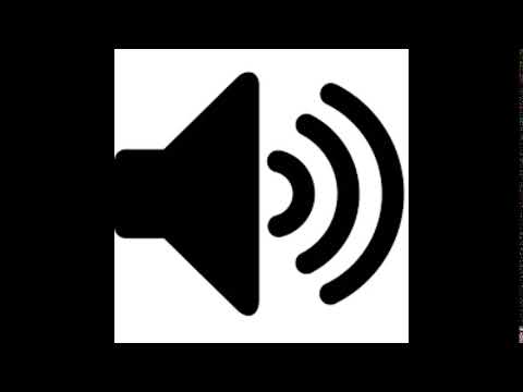 Benim adım bomba soyadım ölüm lan ses