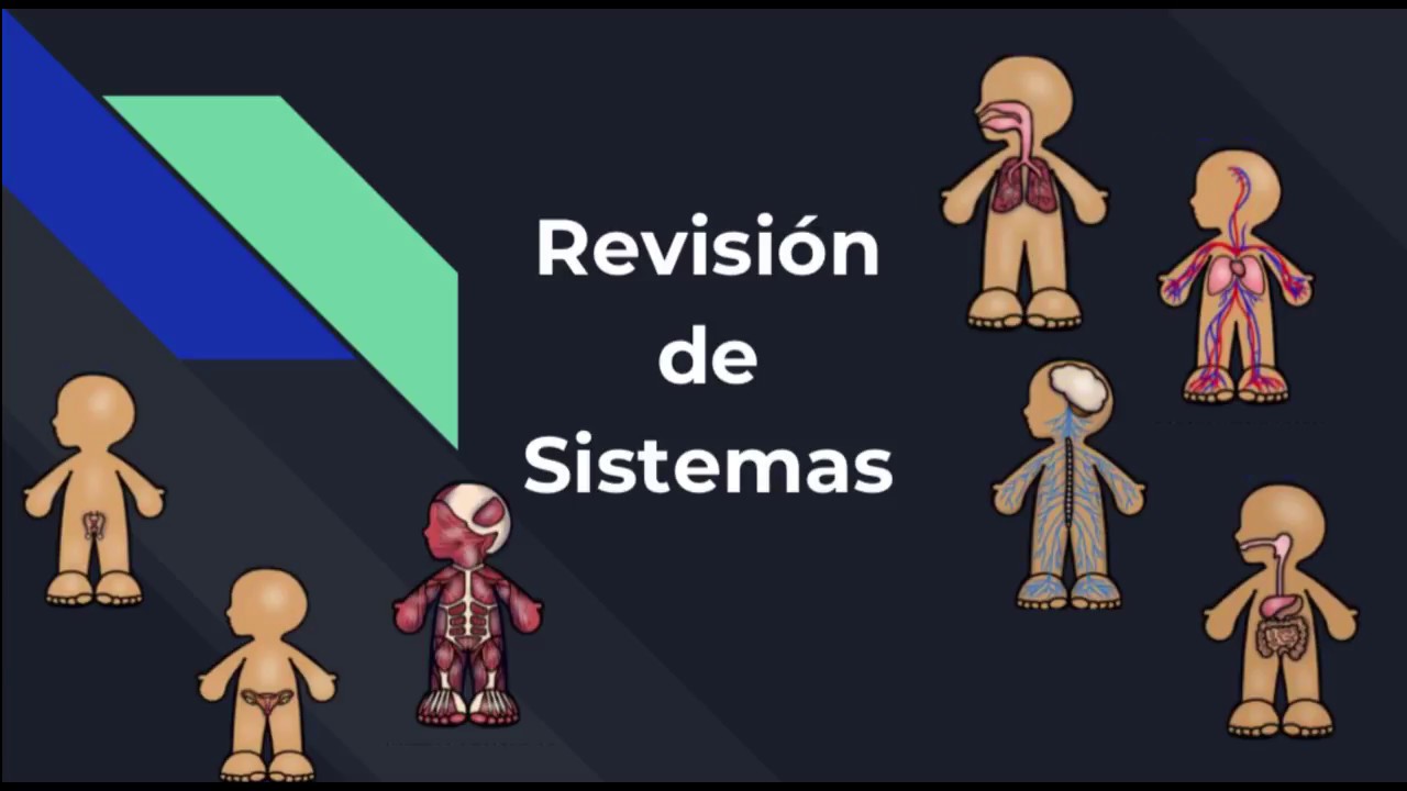 Revision de Aparatos y Sistemas - YouTube