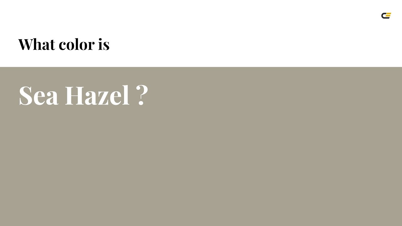 Sea Hazel color #a7a291 hex color - Yellow color - Cool color a7a291 ...