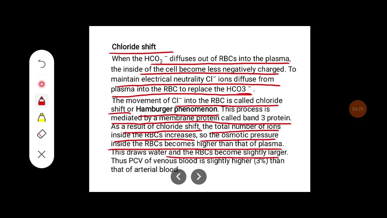 Describe carbon dioxide transport and carbon dioxide dissociation curve ...