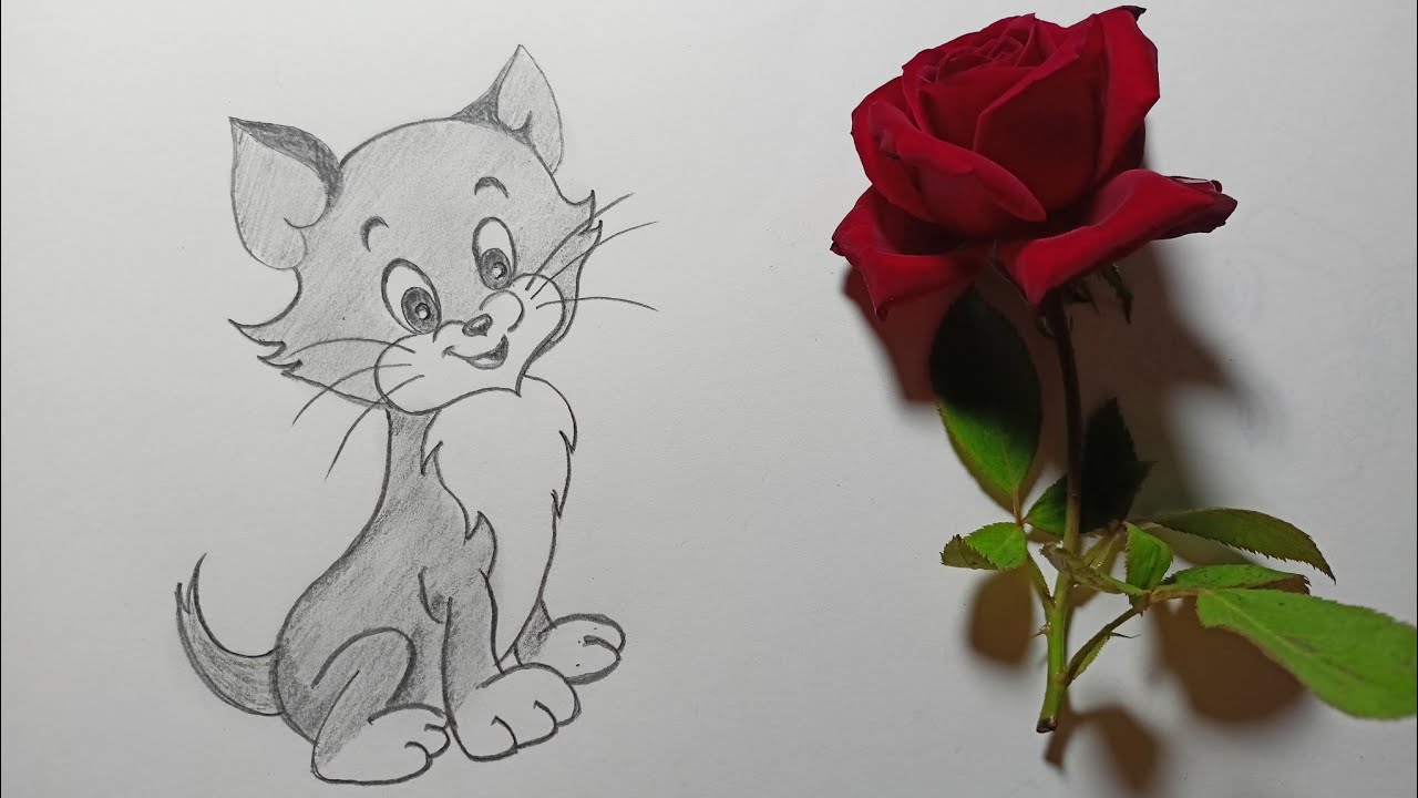 Baby Tom Cat drawing for beginners || How to draw Tom Cat easy step by ...