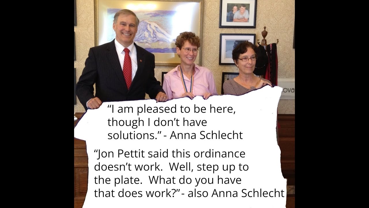 Anna Schlecht vs. Jon Pettit – Renewal & Amendment of Interim Emergency ...