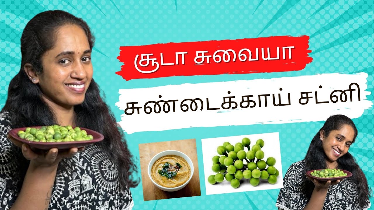 சூடா சுவையா சுண்டைக்காய் சட்னி | pachai sundakkai chutney in tamil ...