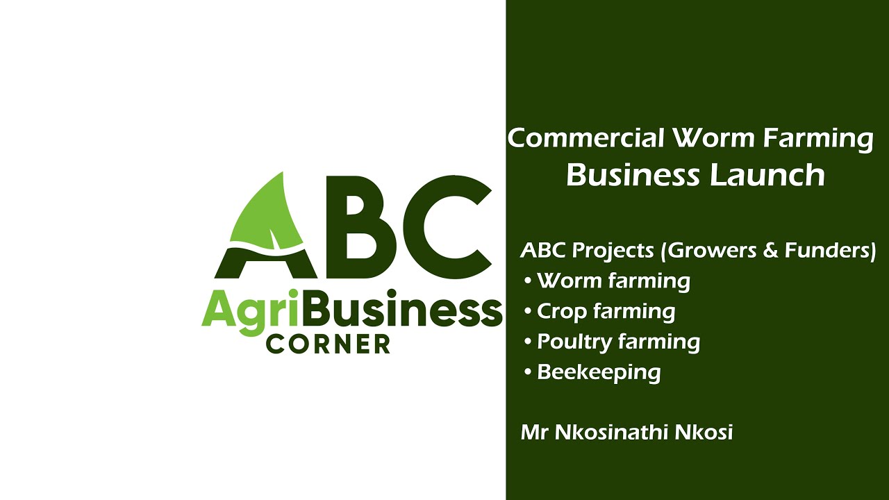 Commercial Worm Farming Business Launch 3 - YouTube
