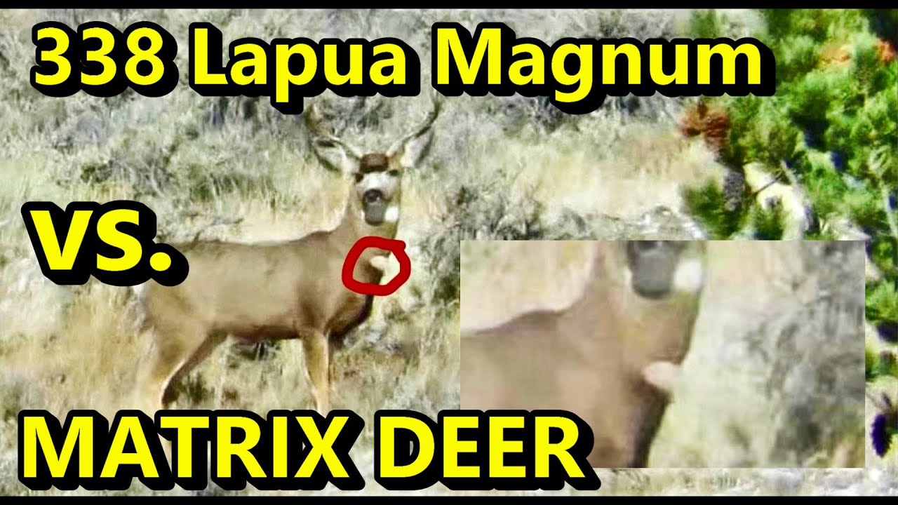 Matrix Deer vs. 338 Lapua: Shockwave or Optical Illusion? - YouTube