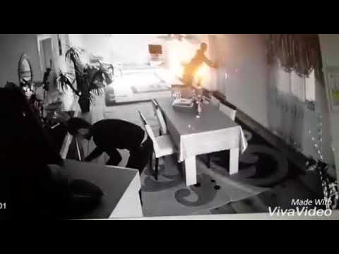 Goygolun şerefsiz  oqrulari