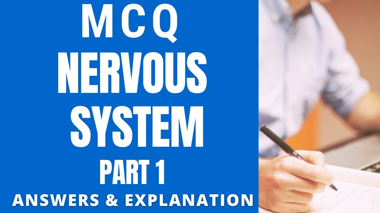 Hap Mcq Nervous System Nervous System Mcq Hap Mcq Mcq Hap Hap Mcq Hap Mcq Nervous System Nervous System Mcq Hap Mcq Mcq Hap Hap Mcq