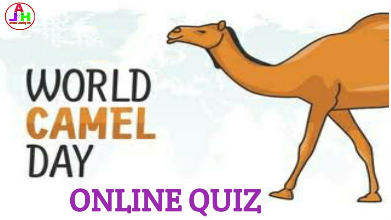 World Camel Day Quiz | World Camel Day | Online Quiz Certificate - YouTube
