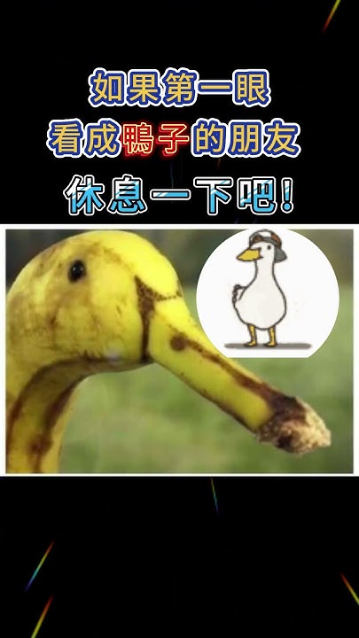 休息一下吧!☕朋友 #meme #梗圖 #迷因 #鴨子 #香蕉 #朋友 #休息 #笑話 #shorts - YouTube