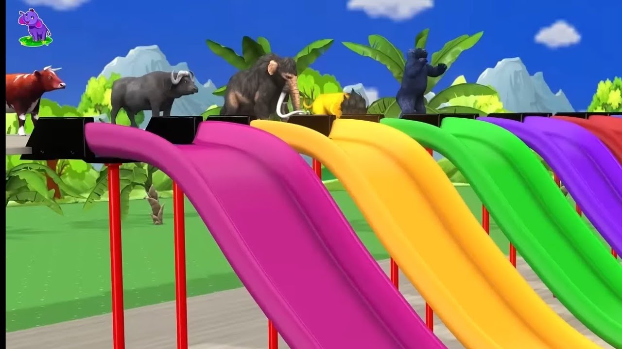 Cartoon | animal cartoon for kids | animation cartoon | animal pool ...