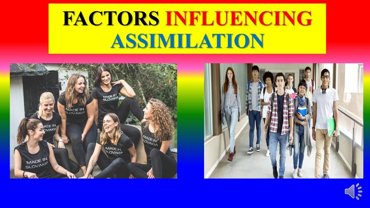 FACTORS INFLUENCING ASSIMILATION SOCIAL PROCESS - Sociology - YouTube