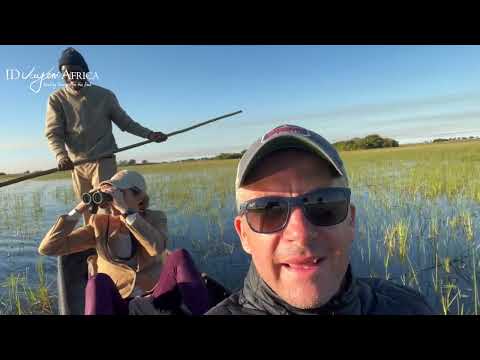 Exploring the Okavango Delta - ID Vayeni AFRICA