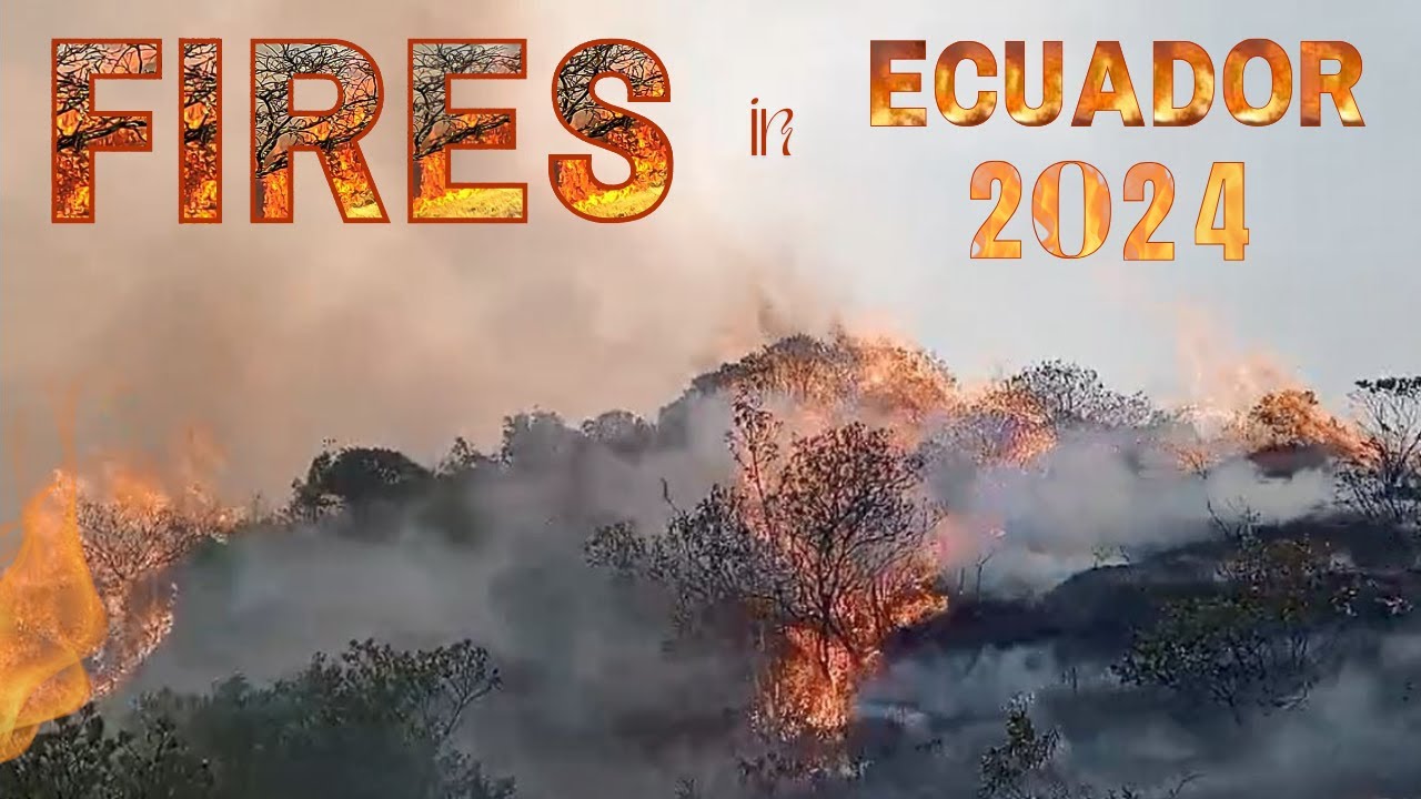 Fires Sweep Through Ecuador in 2024 - YouTube