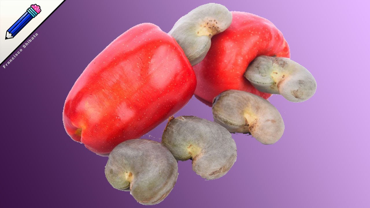 Acaju Caju Anacardo propiedades medicinales nutrición para que sirve ...