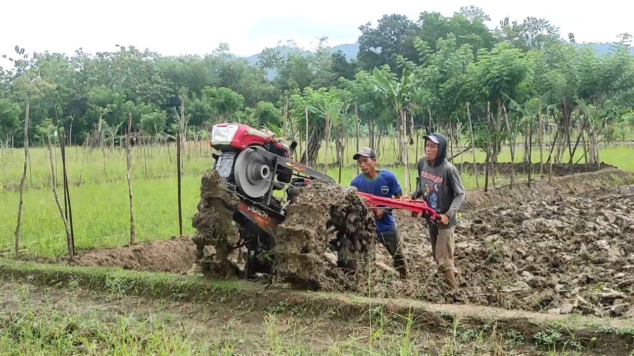 Singkal Dengan Traktor Sawah Quick G1000 Pindah Lahan Langsung Bongkar ...