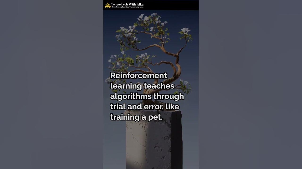 Unveiling Machine Learning : Supervised, Unsupervised and Reinforcement Learning Explained - YouTube