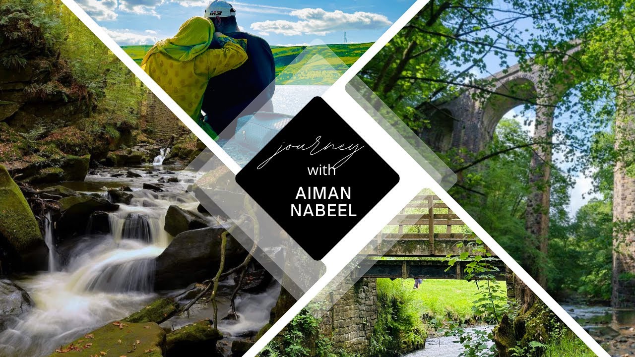 Complete tour guide for Healey dell nature reserver | 6 Main spots of ...