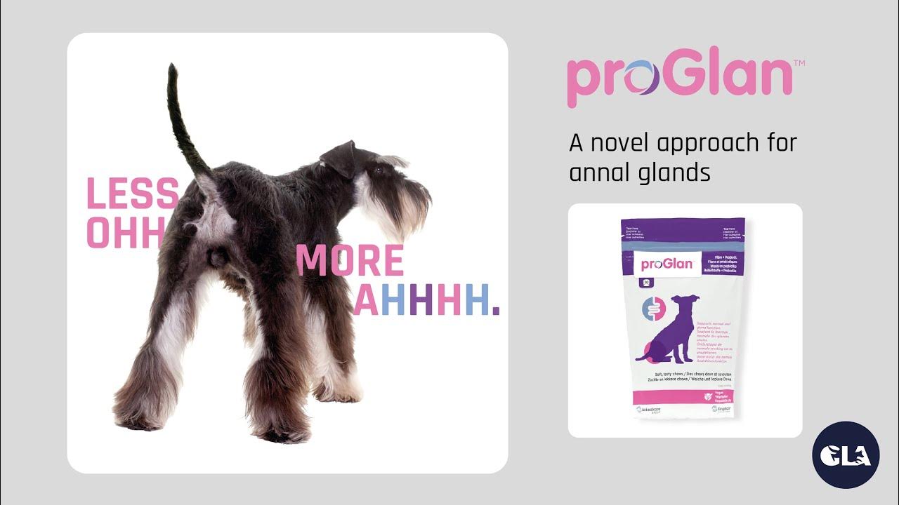 proGlan - a novel approach to support healthy anal glands - YouTube