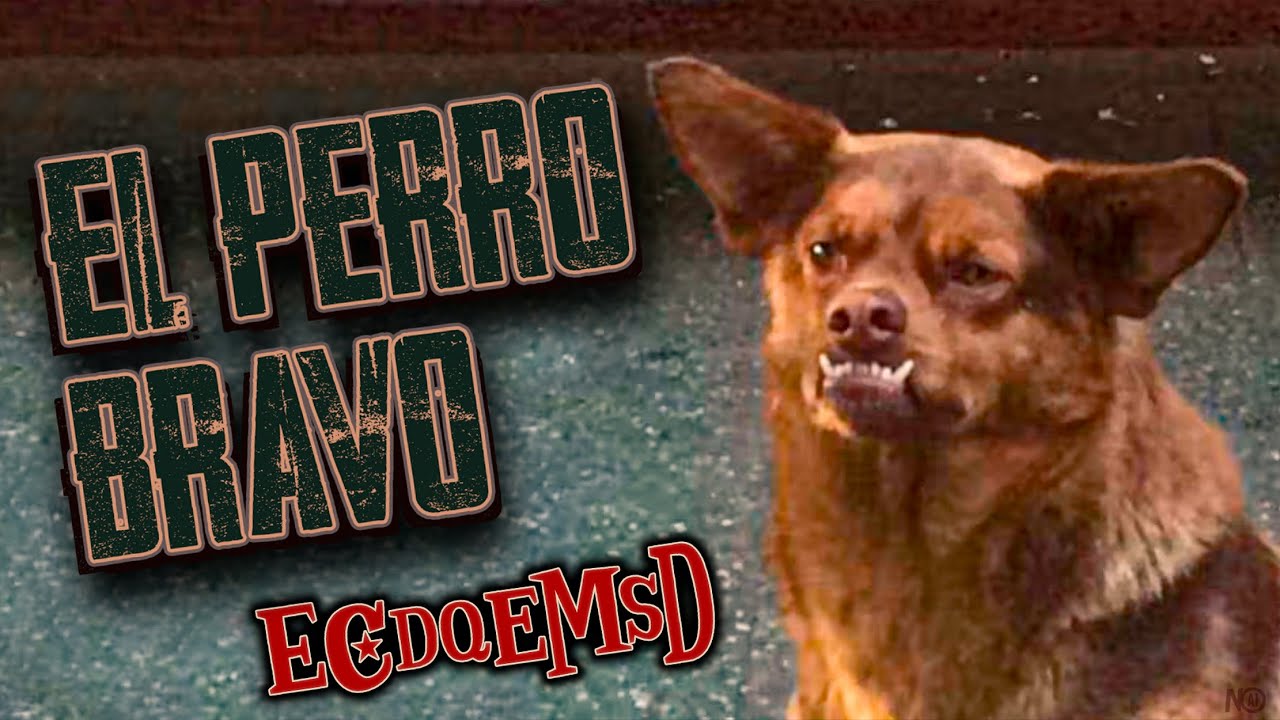 El Perro Bravo - YouTube