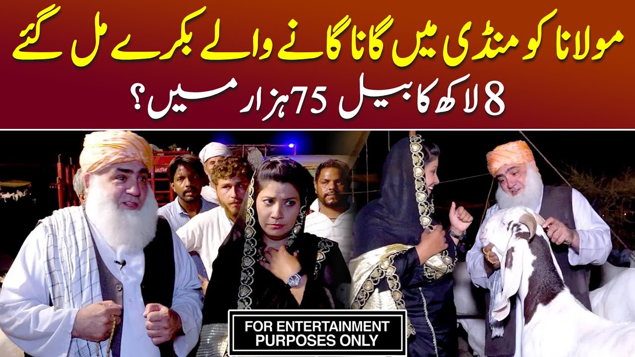 Bakra Eid Shopping: Dummy Maulana in Bakra Mandi #Eiduladha2024 # ...