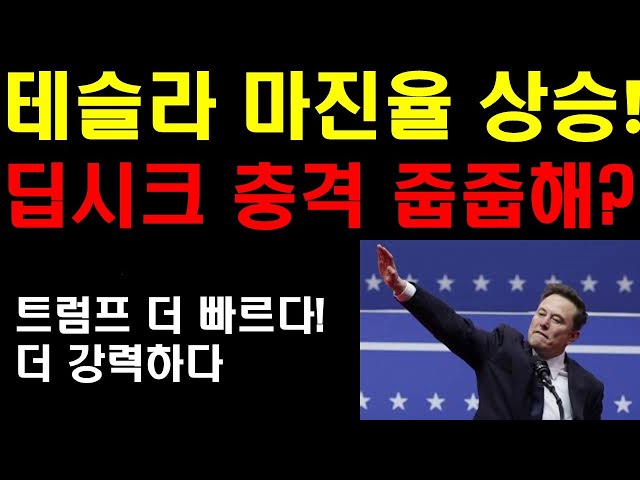 테슬라 마진률 급상승 딥시크 충격 엔비디아 테슬라 어떻게 더 줍줍 기회인가 전기차 보조금 없어도 테슬라가 잘나갈 이유