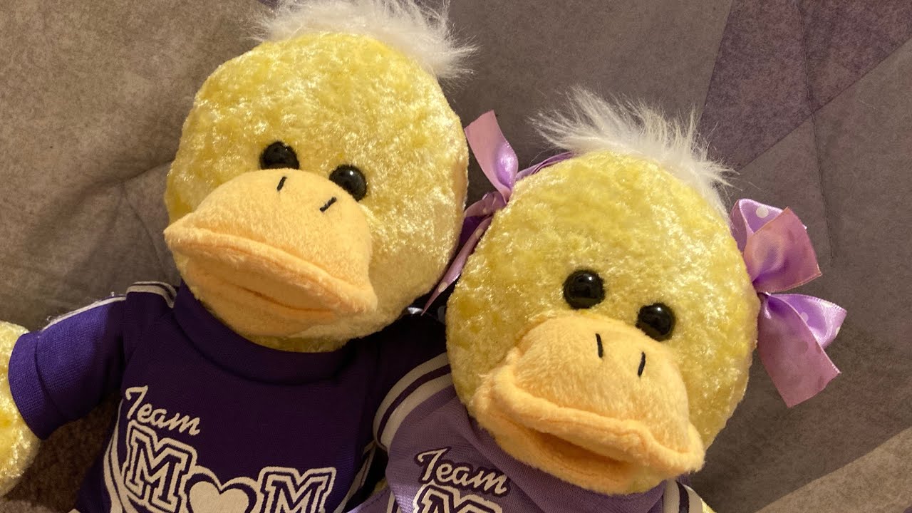 PBC/Chantilly Lane - Animated Musical Duets Team MOM Ducks “Stars ...