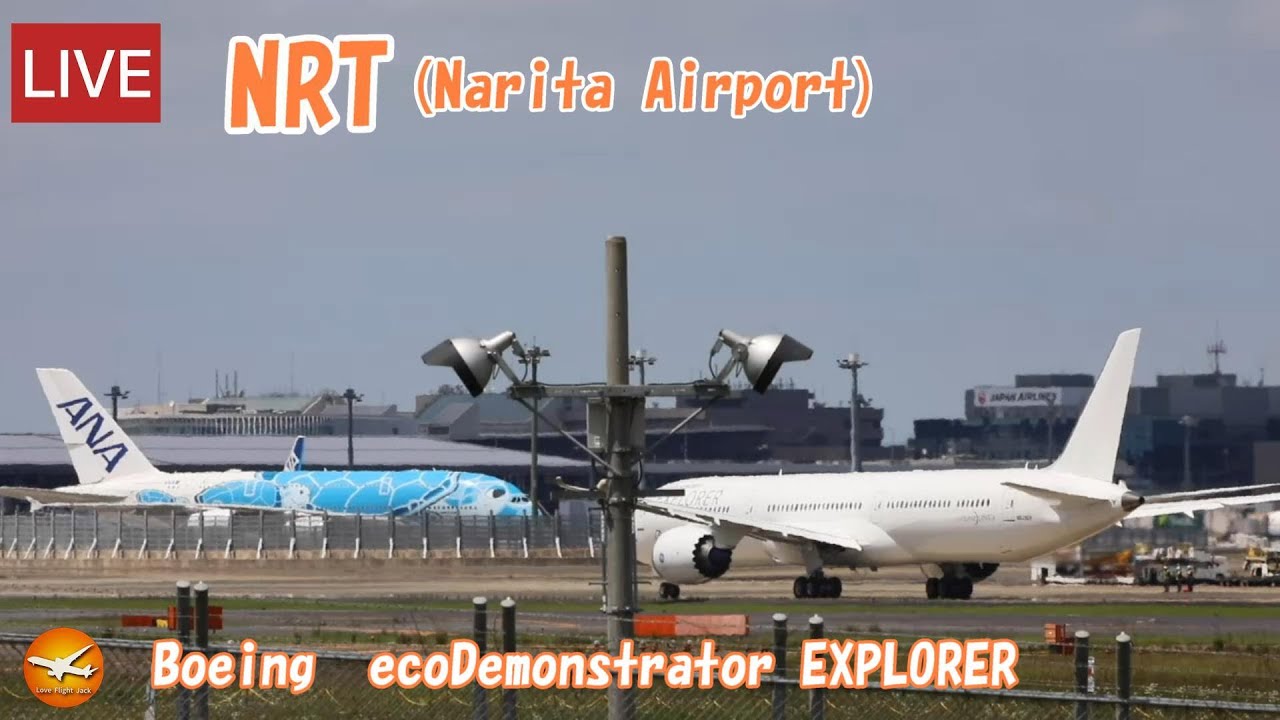 🔴LIVE at NARITA International Airport Plane Spotting 2023.06.13 成田空港ライブ ...