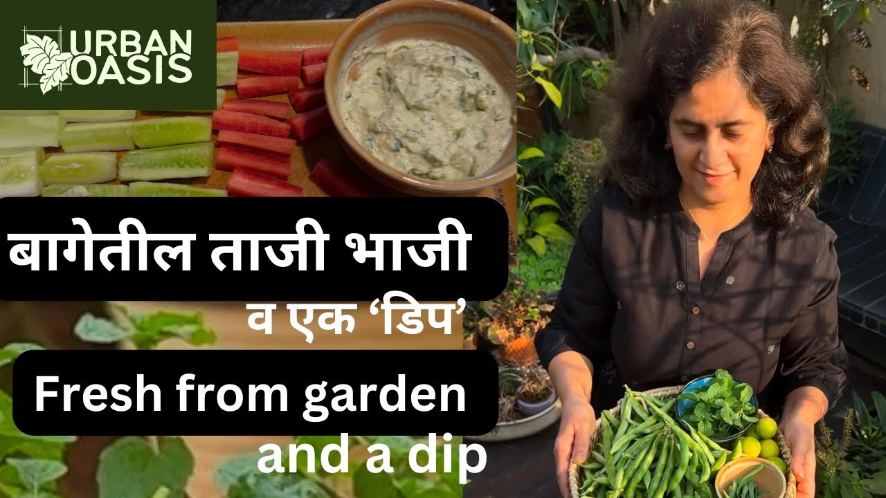 Join me in my garden today to pluck vegetables and then make a fresh ...